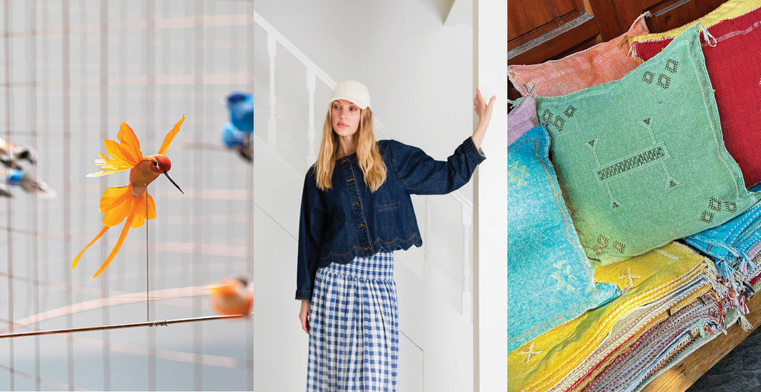 Amo & Pax – Amo & Pax